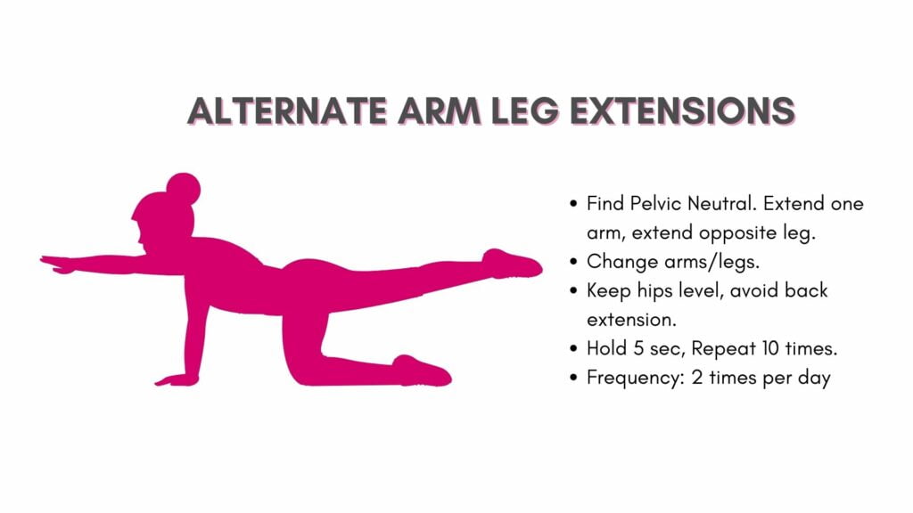 Back Pain Exercise | WELLKINS Orthopedics